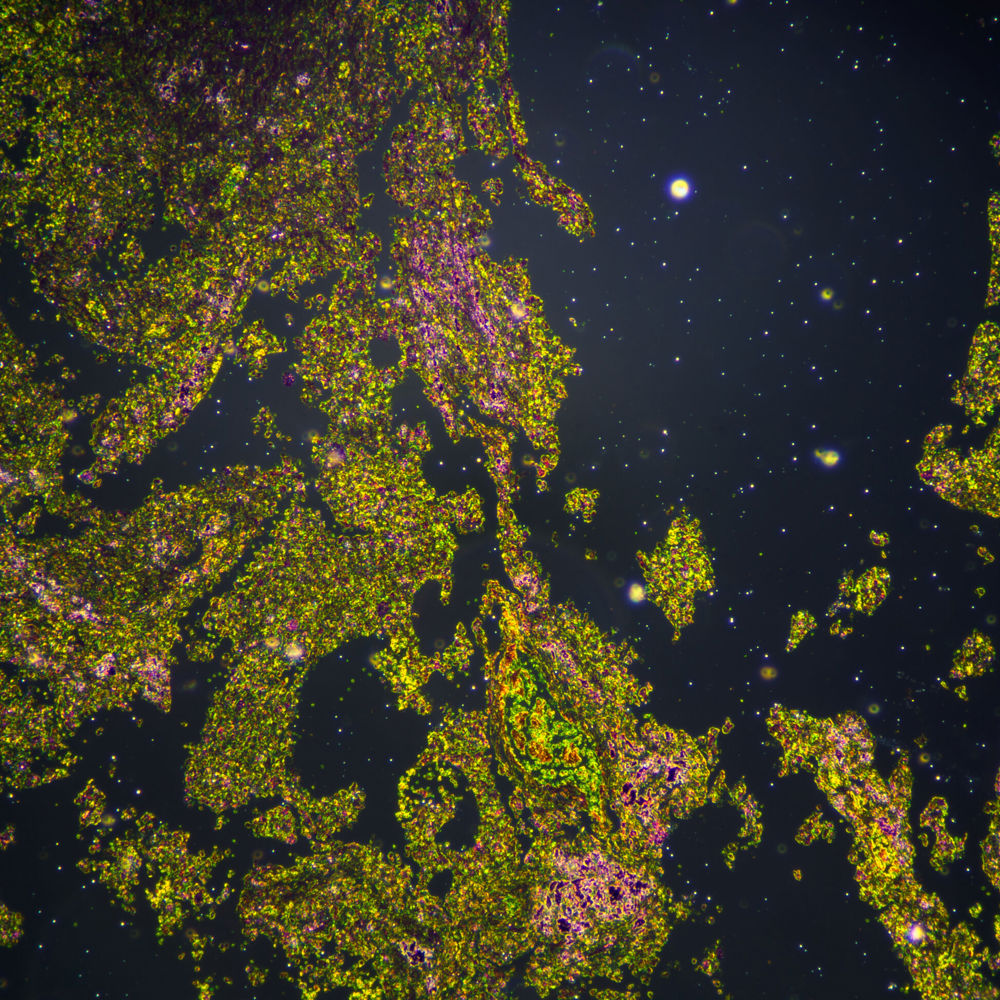 About us • RTW Investments